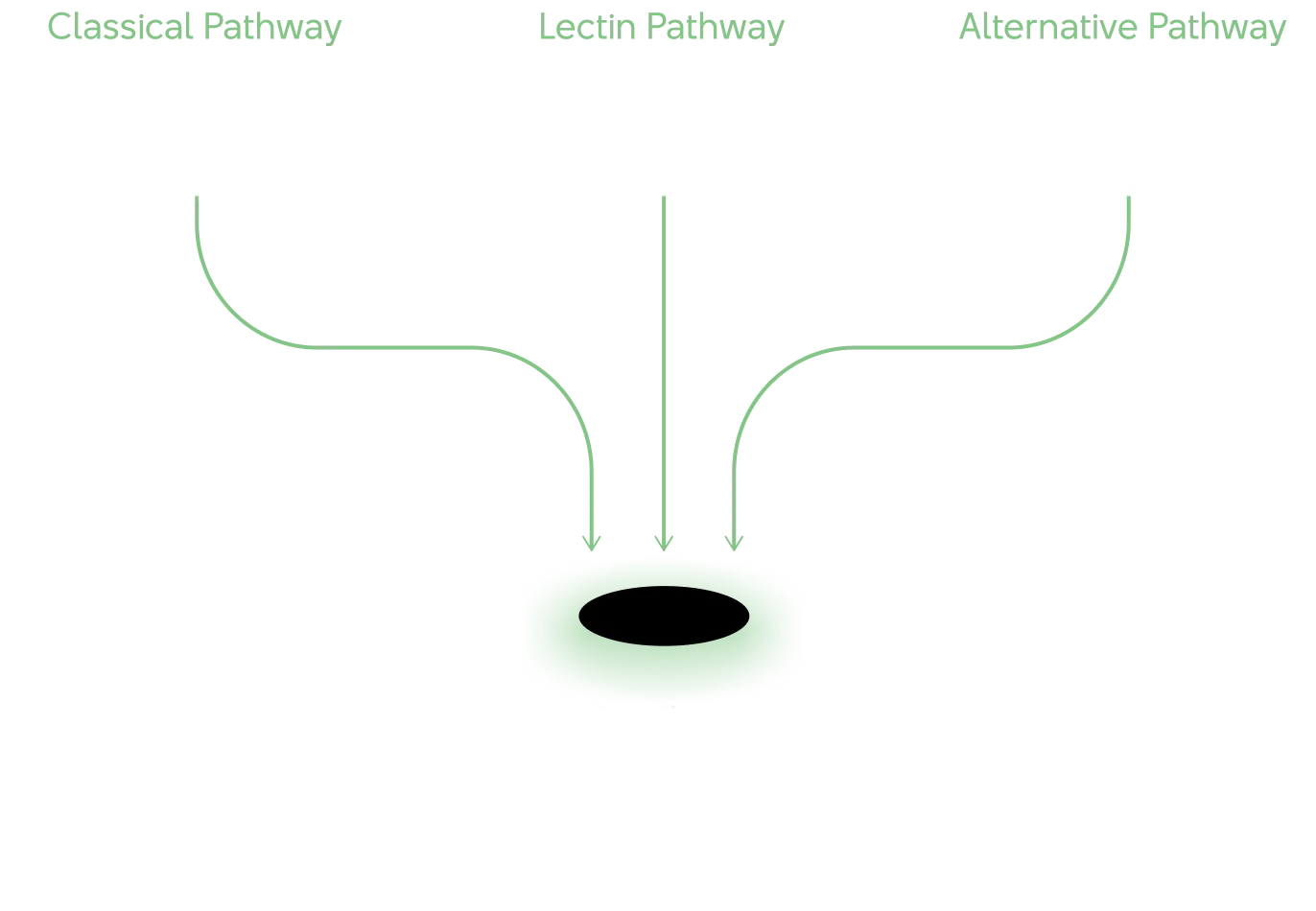 Introducing mHam 2.0